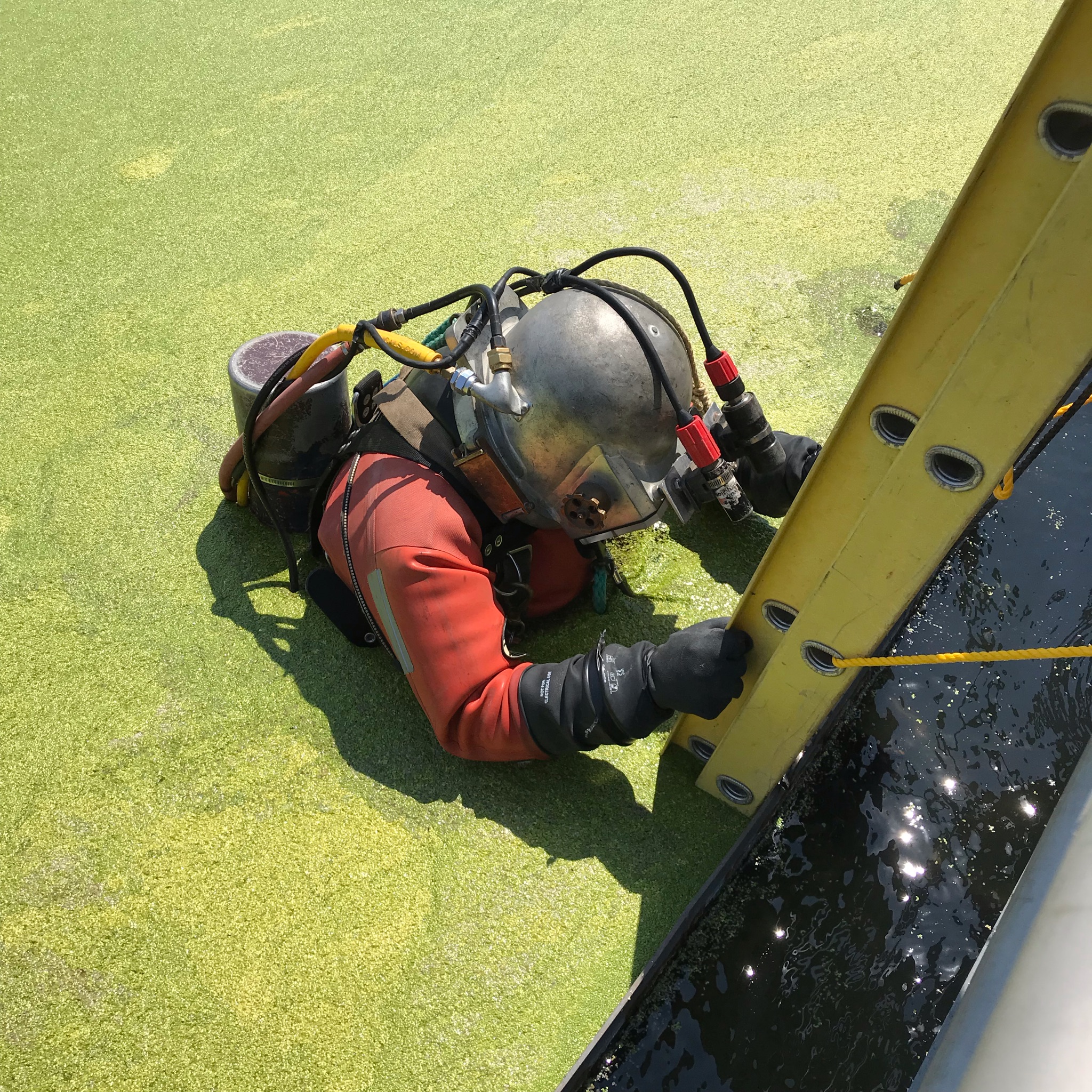 2021 Diving Projects