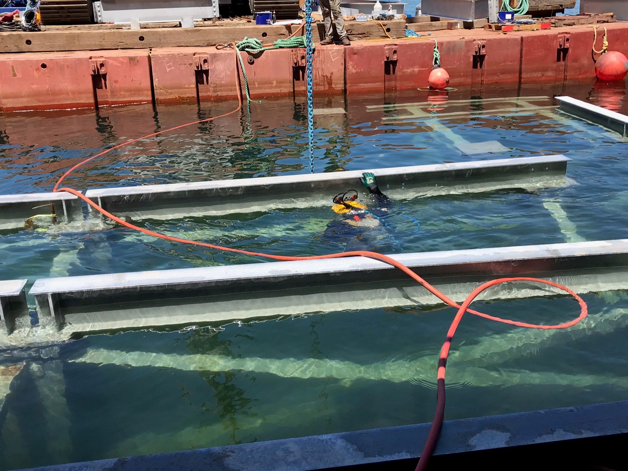 2021 Diving Projects