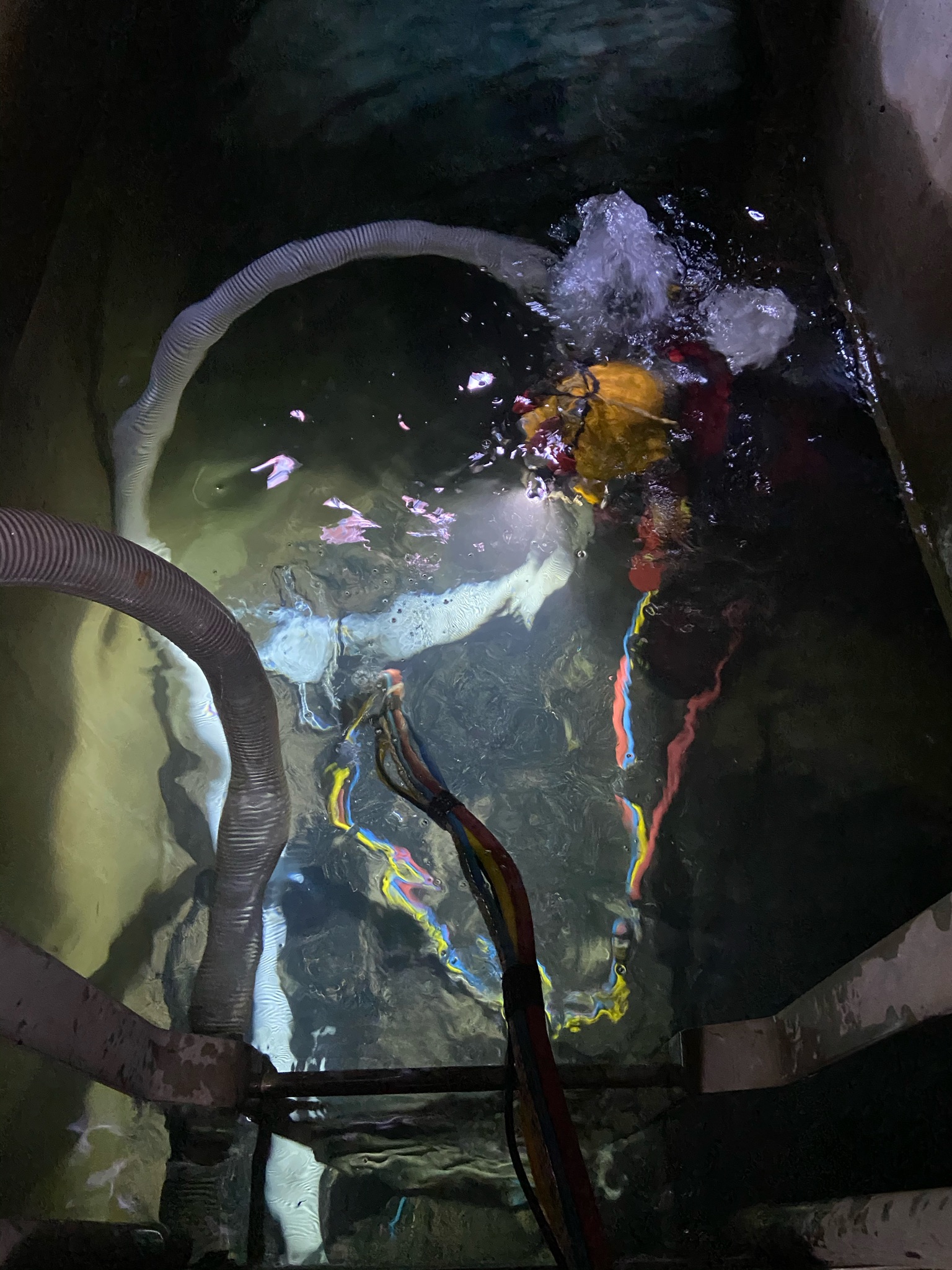 2021 Diving Projects