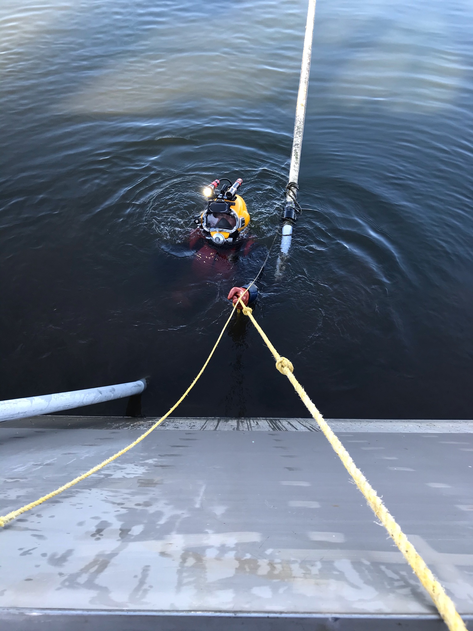 2021 Diving Projects