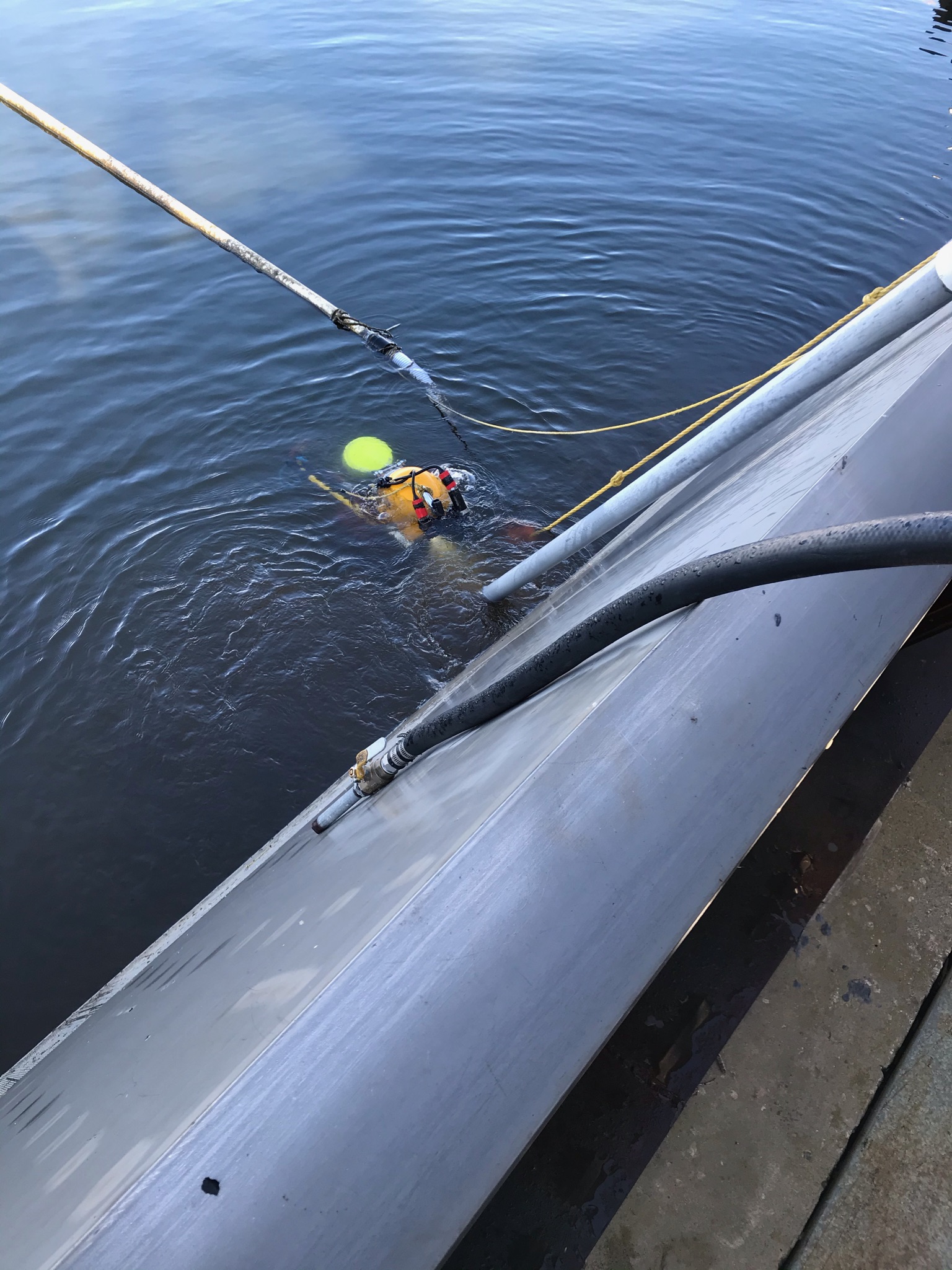 2021 Diving Projects