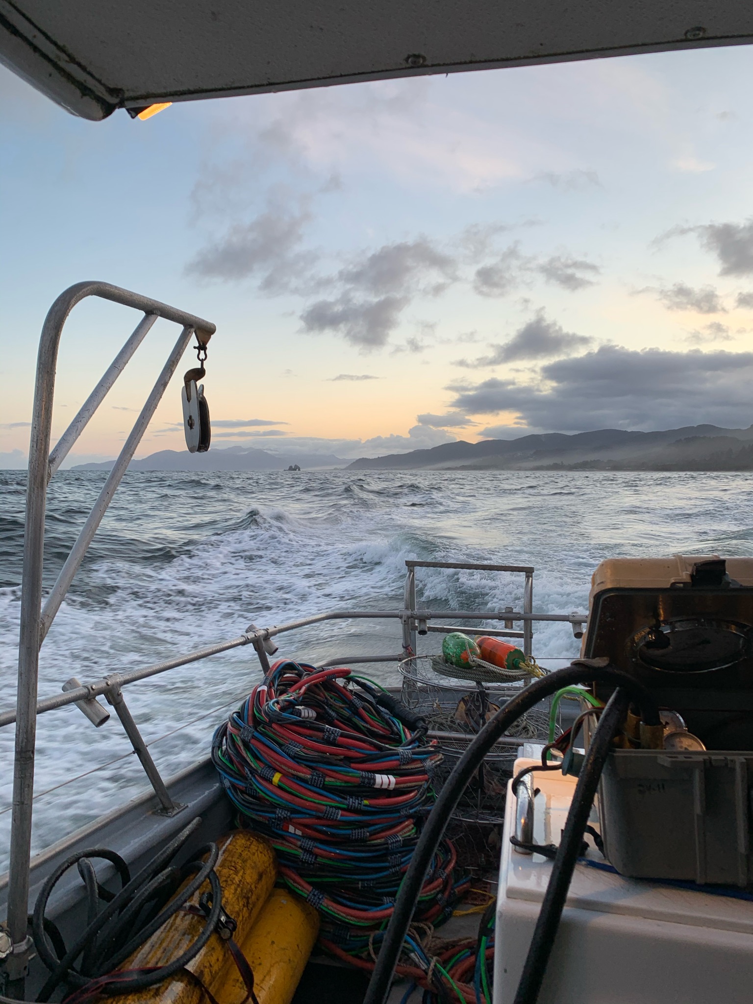 2021 Diving Projects