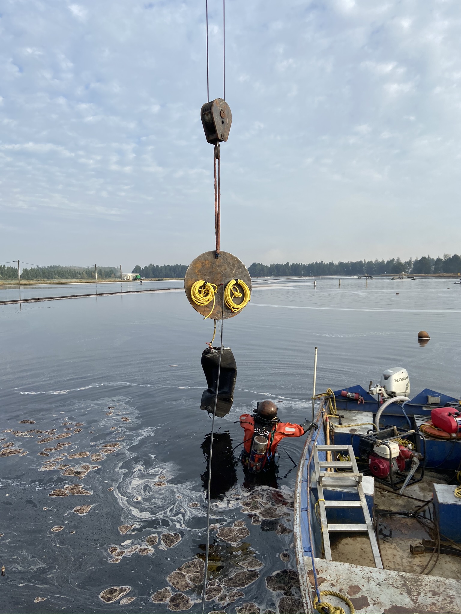 2020 Diving Projects