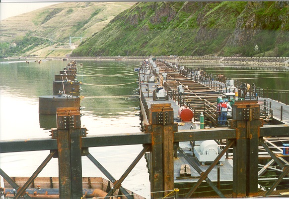 Lower Granite Lock and Dam Behavioral Guidance Structure
