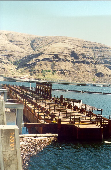 Lower Granite Lock and Dam Behavioral Guidance Structure