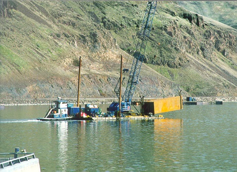 Lower Granite Lock and Dam Behavioral Guidance Structure