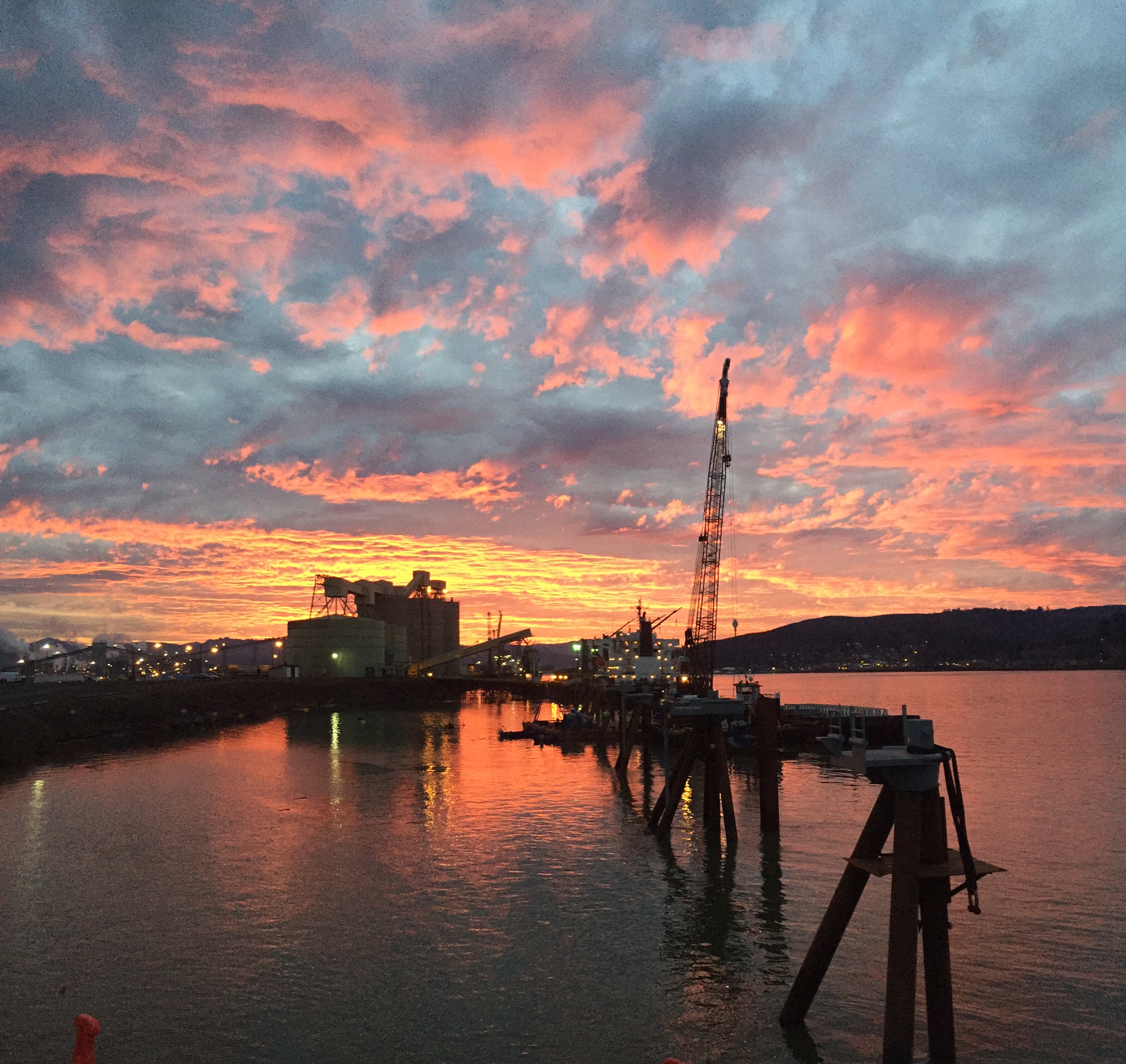 Port of Longview - Berth 4 Layberth
