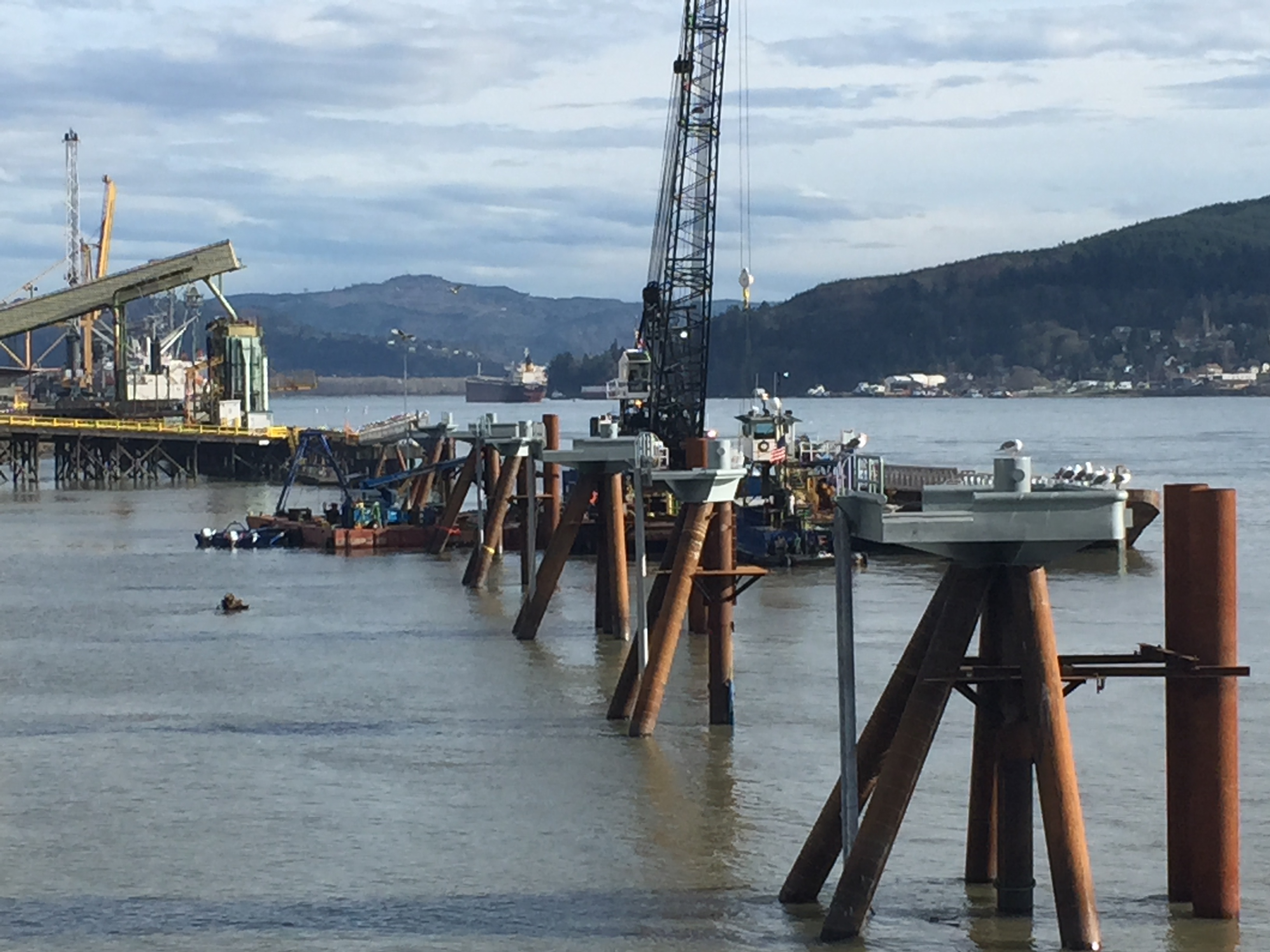 Port of Longview - Berth 4 Layberth