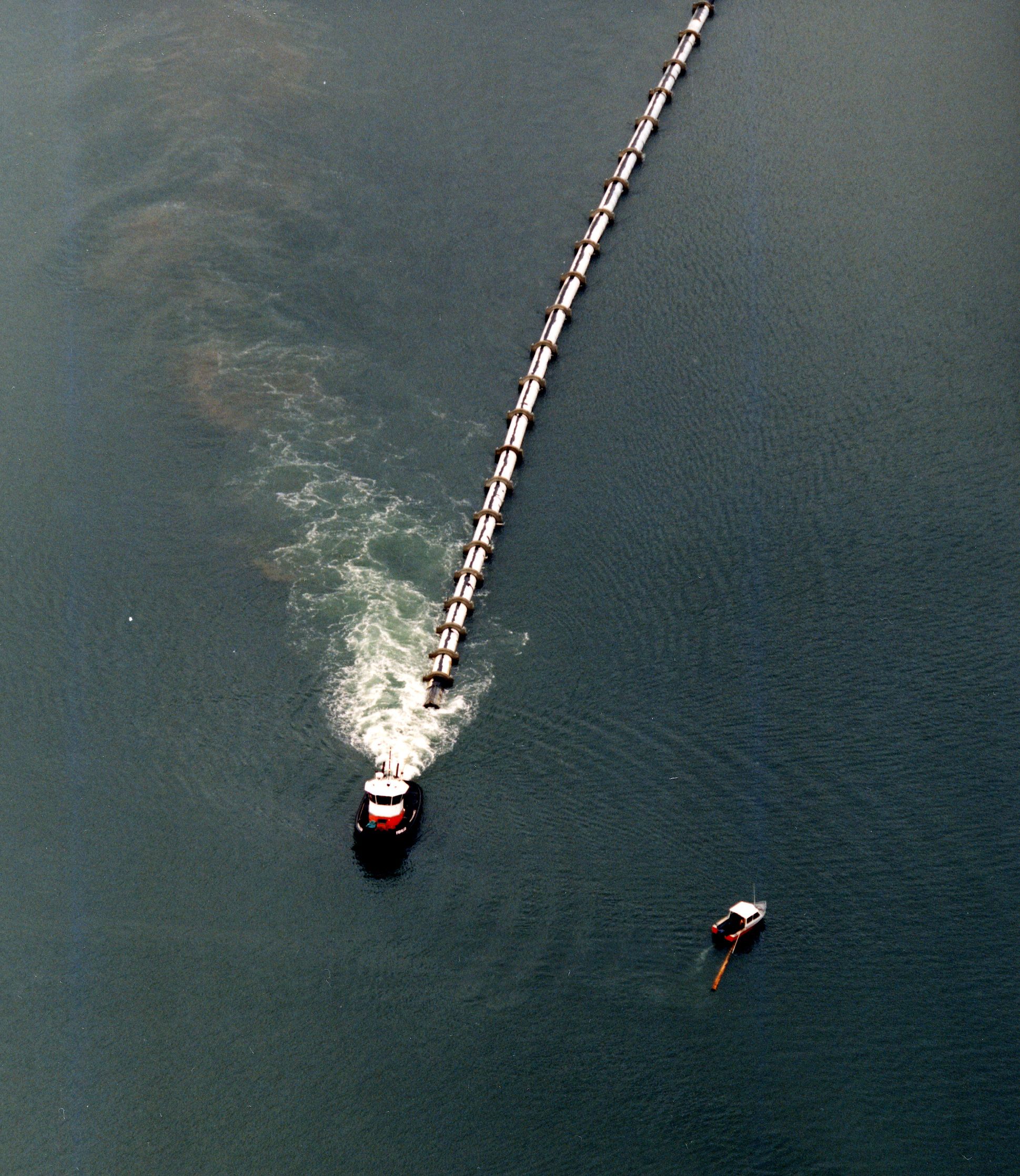 Kimberly Clark Deep Water Outfall/Intertidal